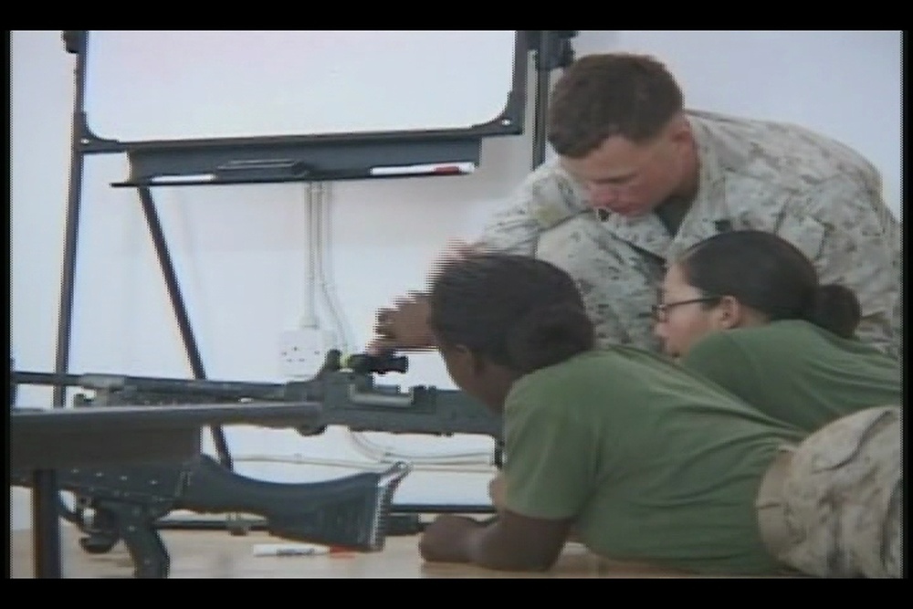 DVIDS - Video - The Lioness Program