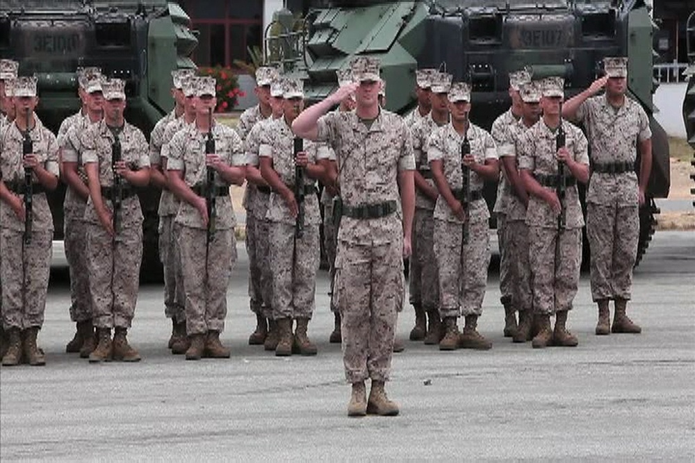 DVIDS - Video - 3rd Assault Amphibian Battalion Change of Command