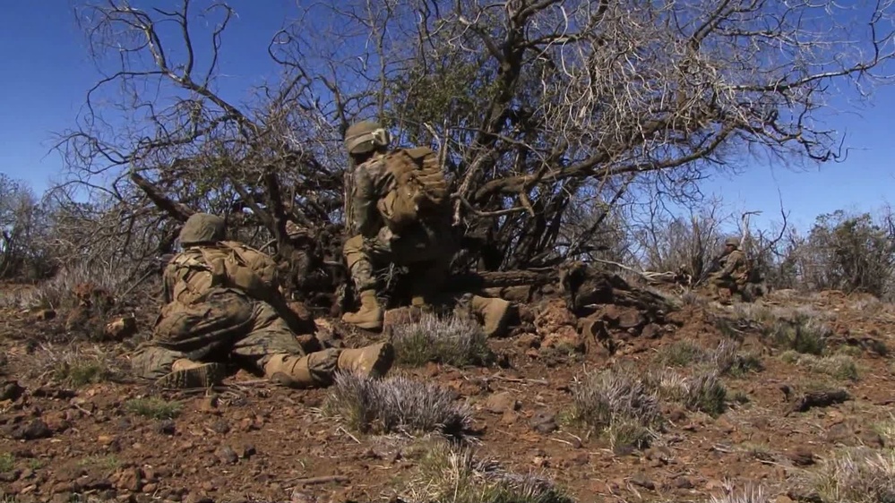 DVIDS - Video - EX Lava Viper 2012, Part 1