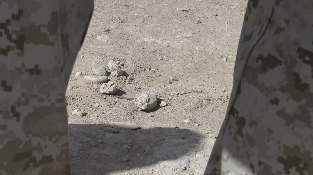 DVIDS - Video - Counter IED Training
