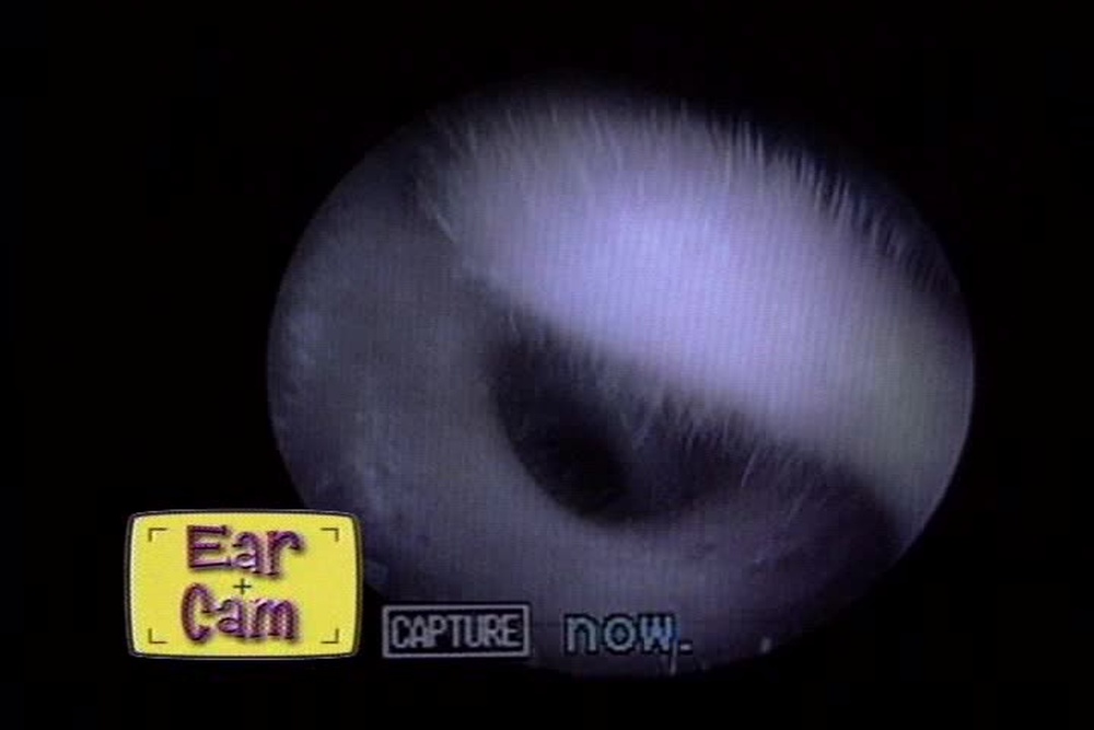 DVIDS - Video - NASA SCI Files - How the Ear Works