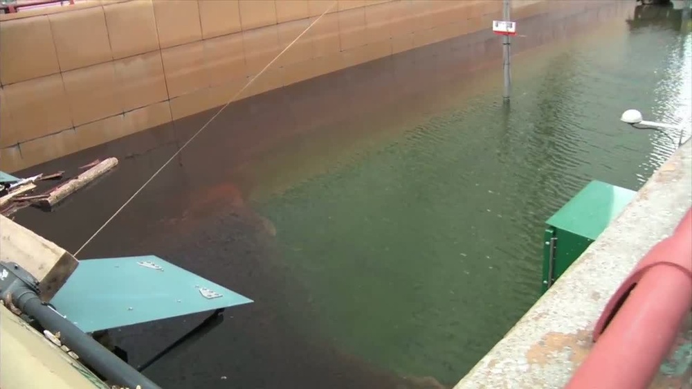 DVIDS - Video - Dewatering NYC