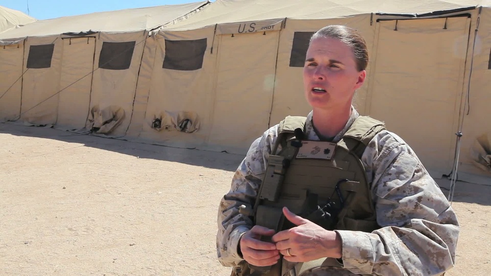 DVIDS - Video - Lt. Col. Dawn Alonso, the commanding officer of 1st ...