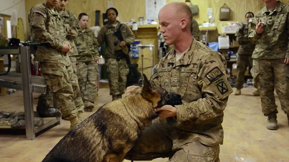 DVIDS - Video - 31K: Military Working Dog Handler