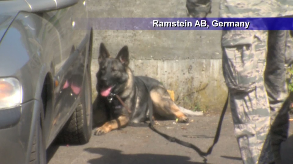 DVIDS - Video - Air Force Report: Working Dog Training