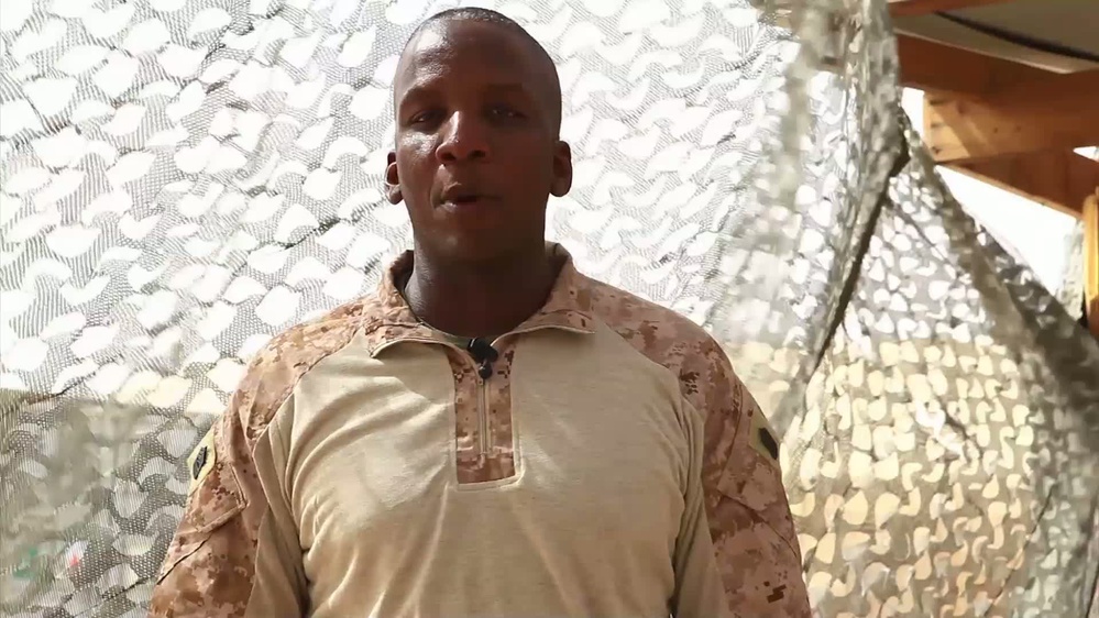 DVIDS - Video - Master Sgt. Darcy Dean - Miami Dolphins