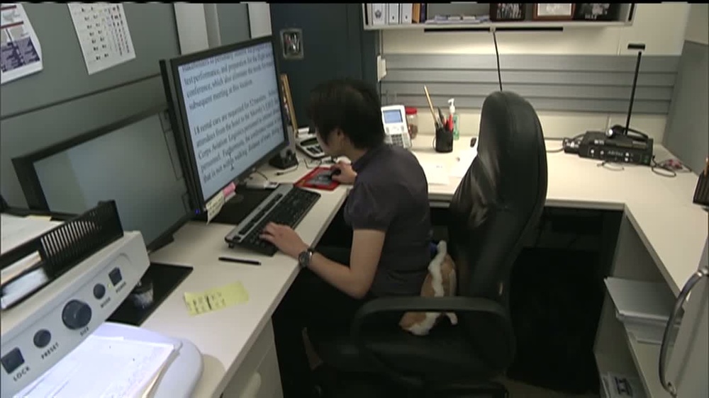 DVIDS - Video - Employment Help for Disabled Workers