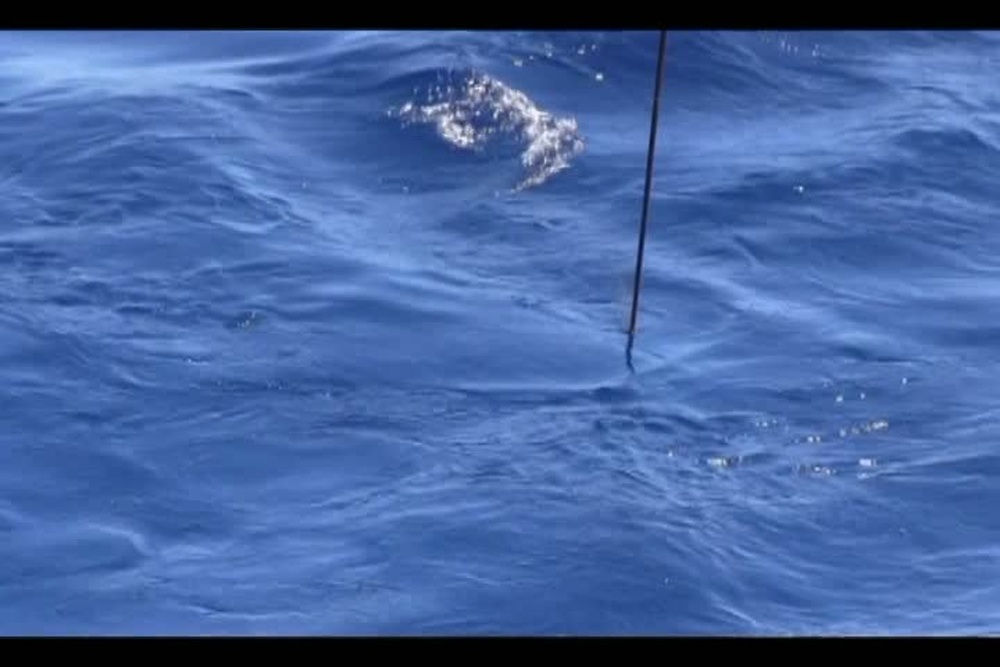 DVIDS - Video - Towed Pinger Locator Recovery