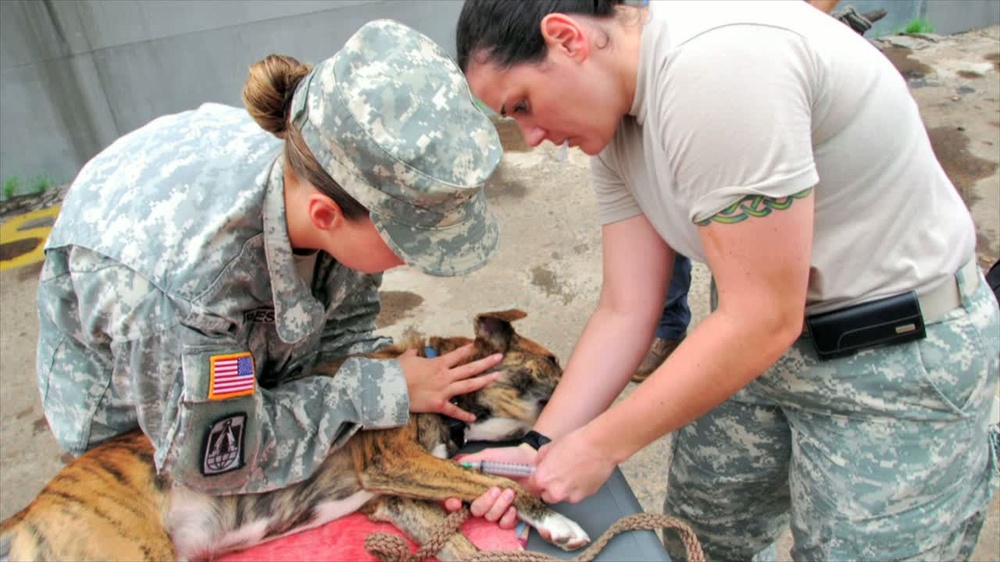 DVIDS - Video - Army Veterinary Corps Anniversary