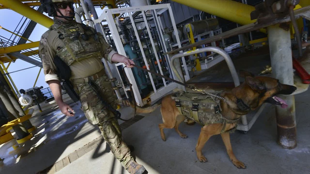 DVIDS - Video - Coast Guard Maritime Security Response Team exercise