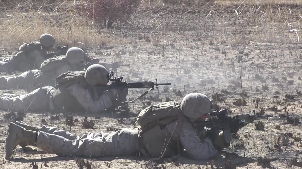 DVIDS - Video - Alpha Company Movement to Contact