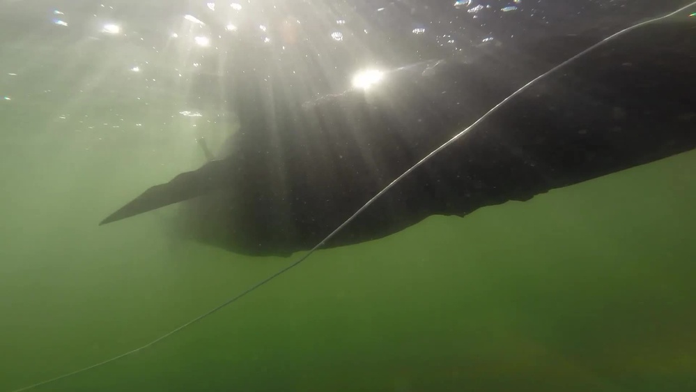 DVIDS - Video - Silent NEMO