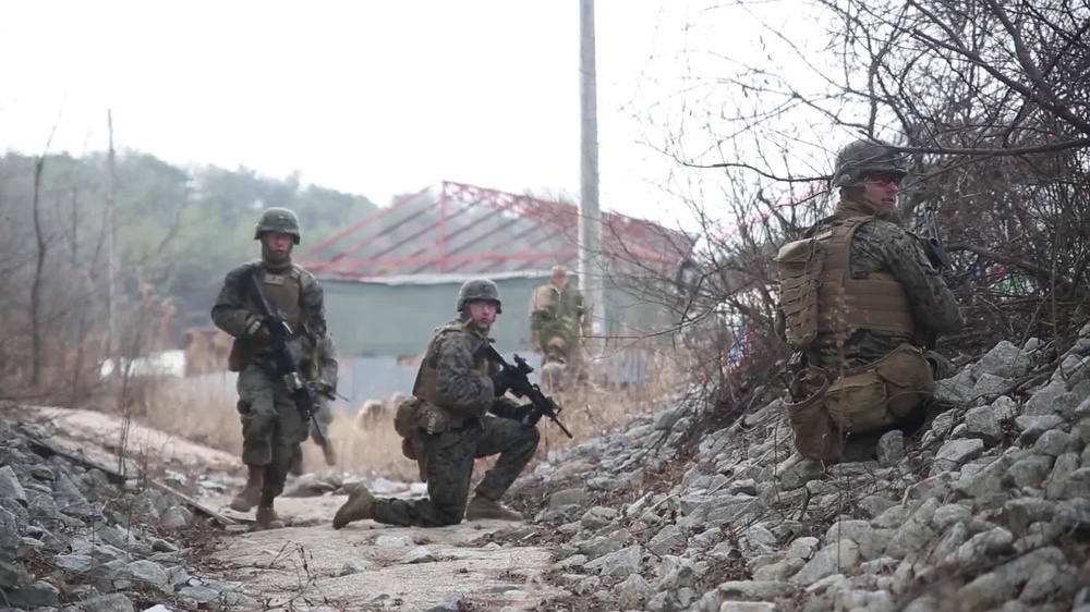 DVIDS - Video - Fox Company, 2/9, Raid