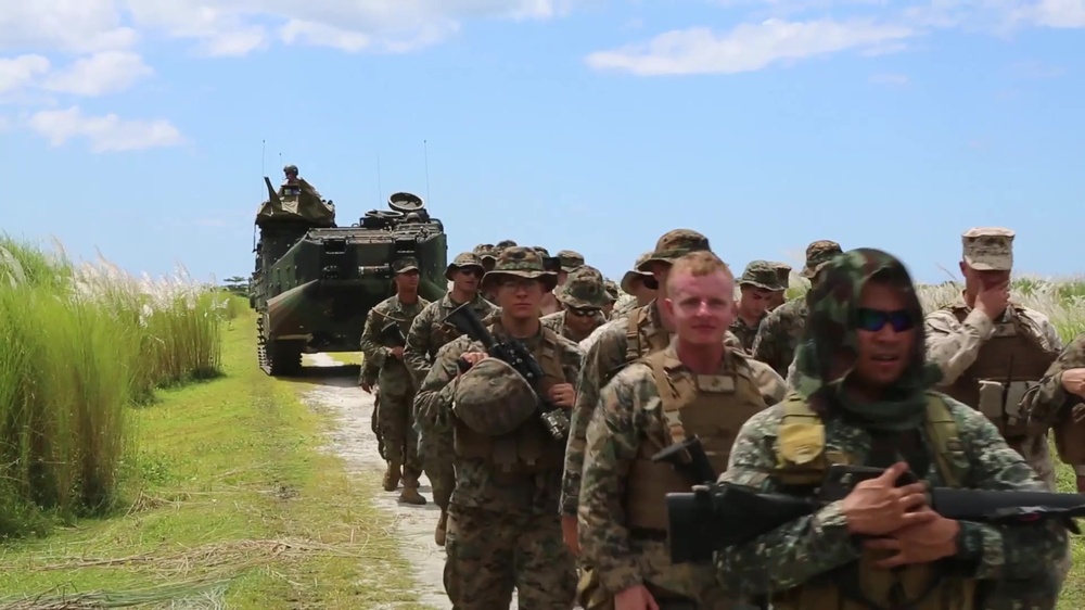 DVIDS - Video - AAV Landing