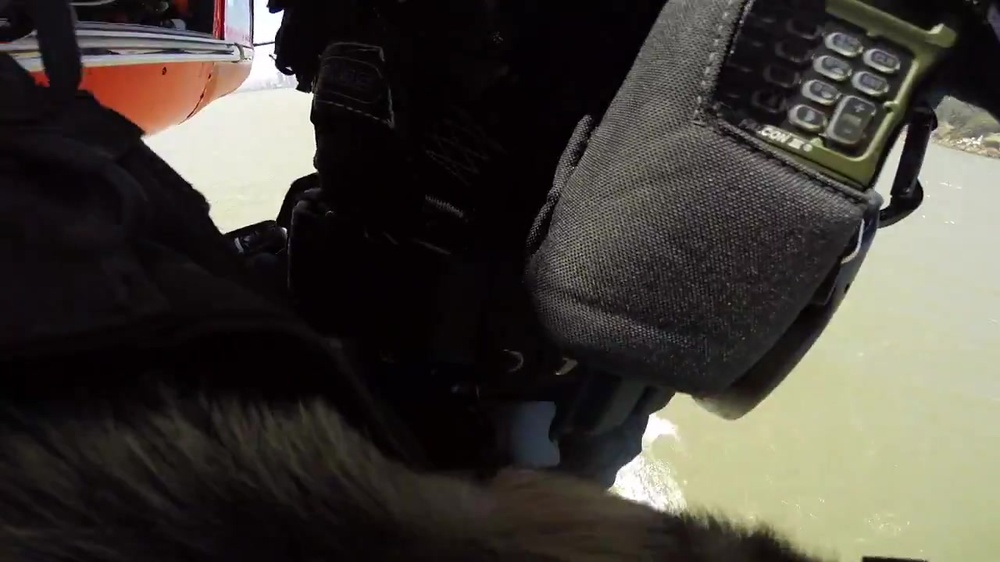 DVIDS - Video - MSST San Francisco K9 Hoist
