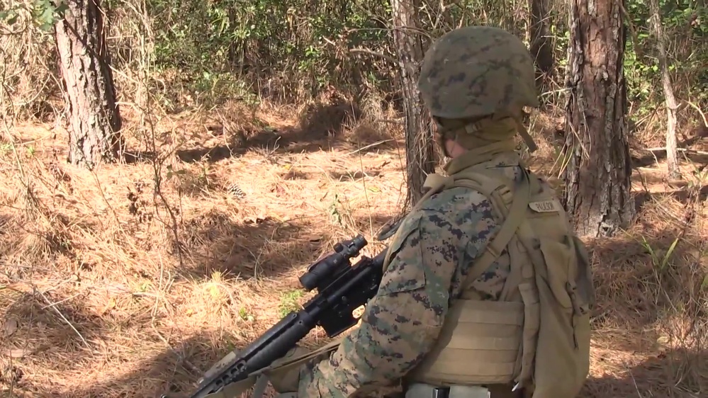 DVIDS - Video - 2d LAAD Patrolling Operations