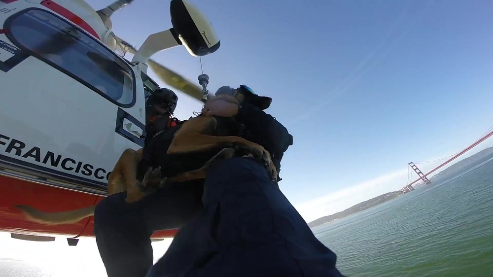 DVIDS - Video - MSST San Francisco K-9 Vertical Delivery