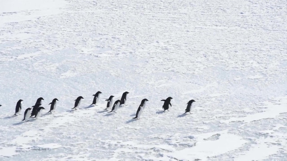 DVIDS - Video - U.S. Pacific Command, America's oldest unified ...