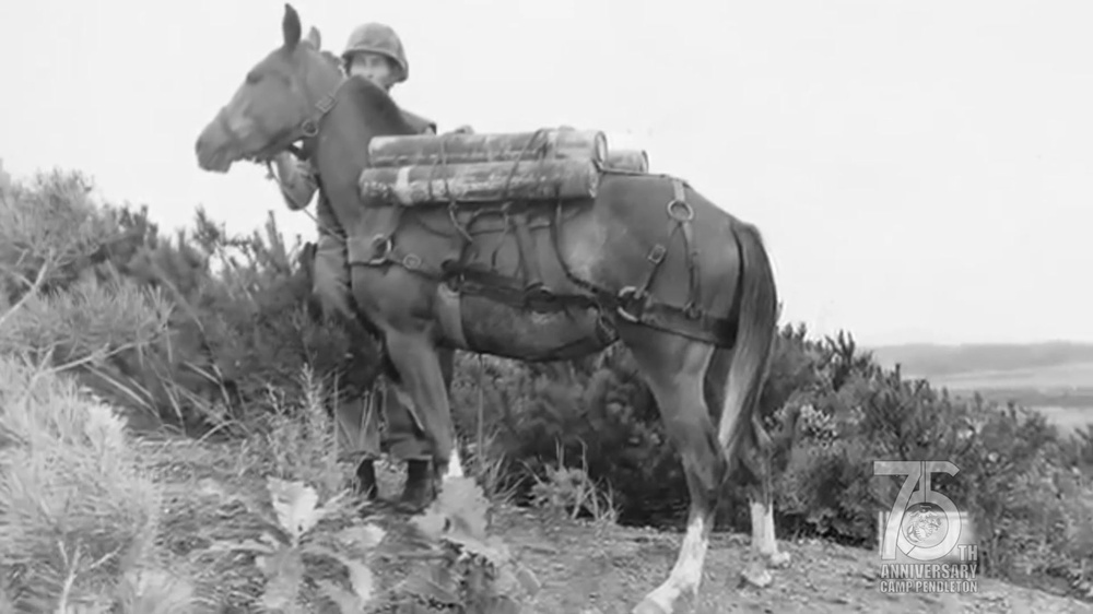 DVIDS - Video - Camp Pendleton's 75th Anniversary: Staff Sgt Reckless