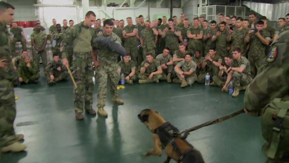 DVIDS - Video - French Devil Dogs