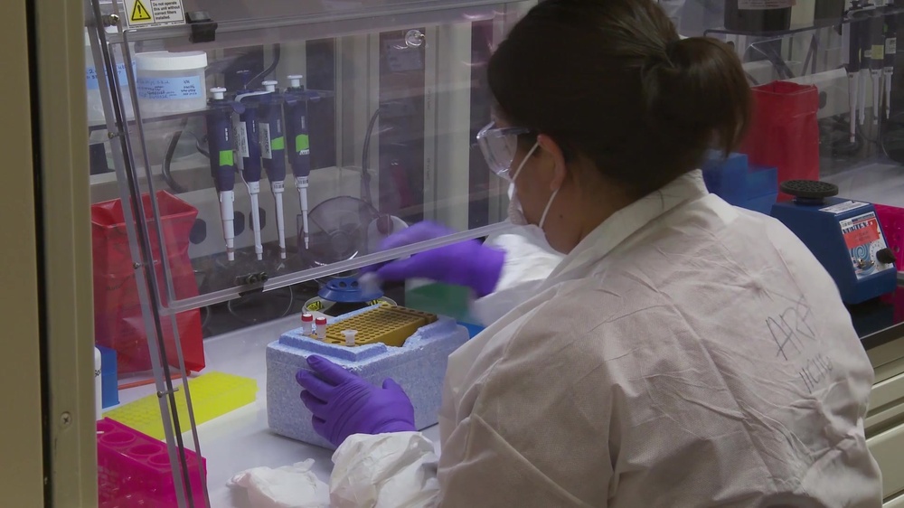 DVIDS - Video - Armed Forces DNA Identification Lab B-Roll