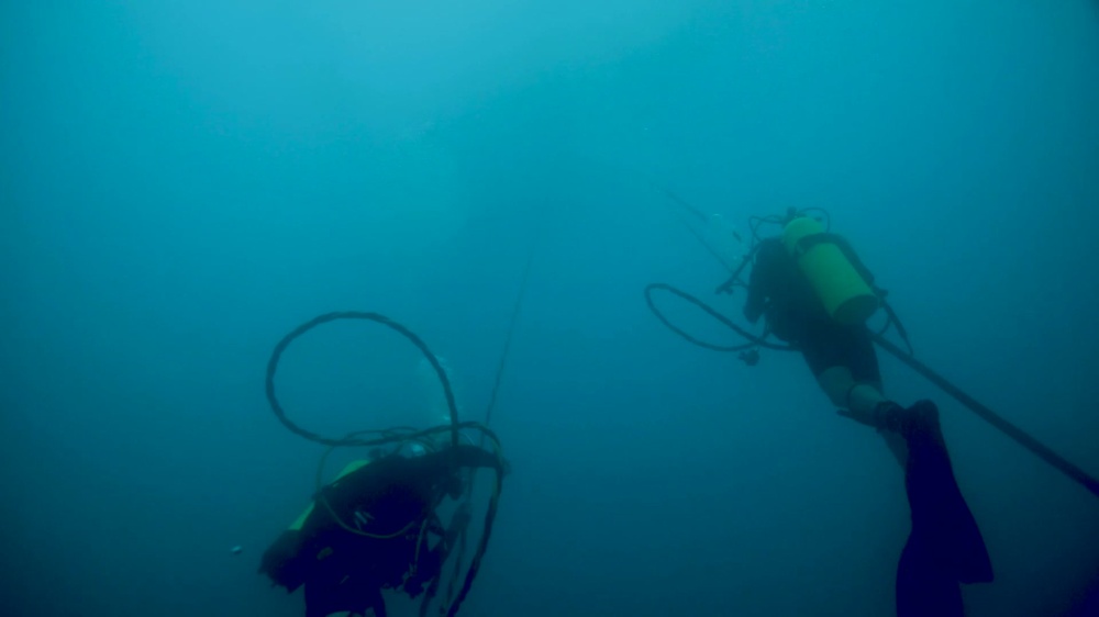 DVIDS - Video - Exercise Dynamic Monarch 2017 - Underwater Filming