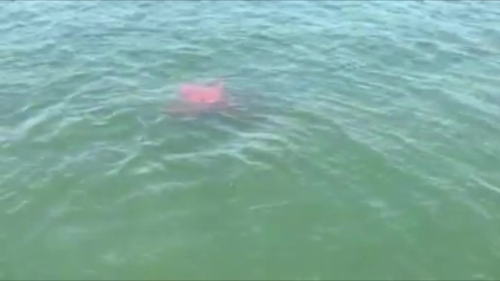 DVIDS - Video - Submarine Rescue Chamber Operations
