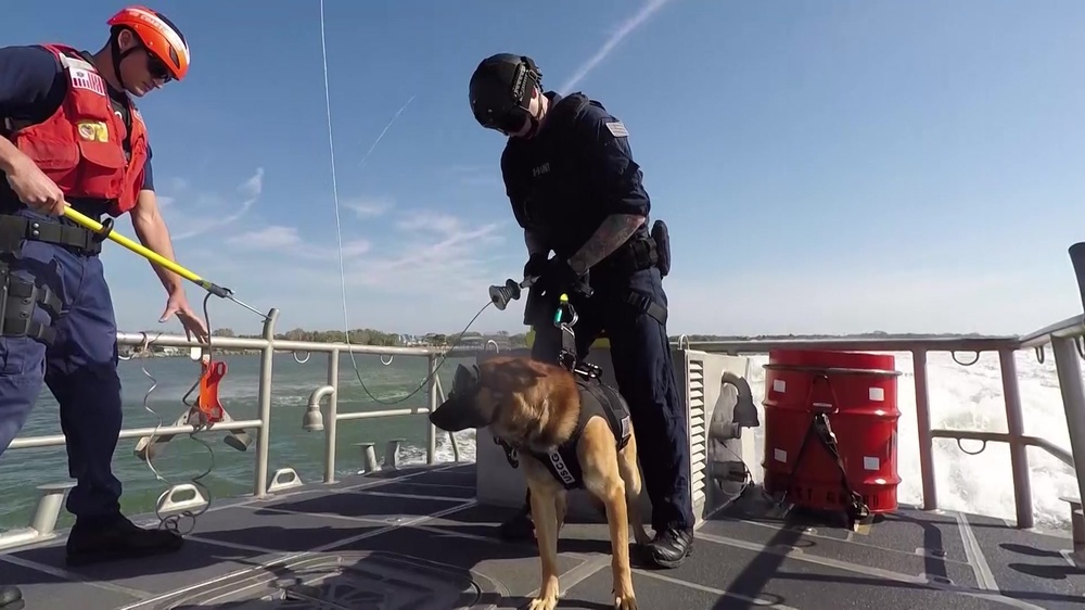 DVIDS - Video - Coast Guard Canine Explosive Detection Team: Hoist Training