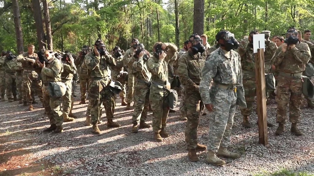 DVIDS - Video - Becoming a Drill Sergeant