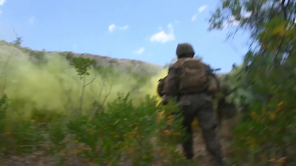 DVIDS - Video - Joint Service Training Exercise