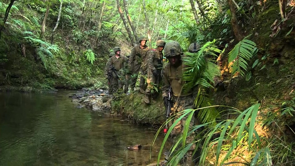 DVIDS - Video - Jungle Warfare Training Center