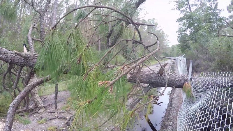 DVIDS - U.S. Army Corps of Engineers, Savannah District