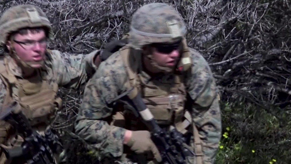 DVIDS - Video - America's Battalion Conducts Squad Attacks
