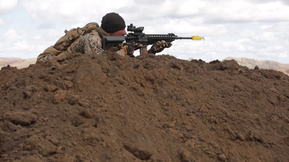 DVIDS - Video - U.S. Marines Act as OPFOR in New Zealand