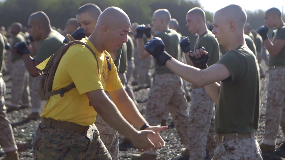 DVIDS - Video - Hotel Company - MCMAP Training Session