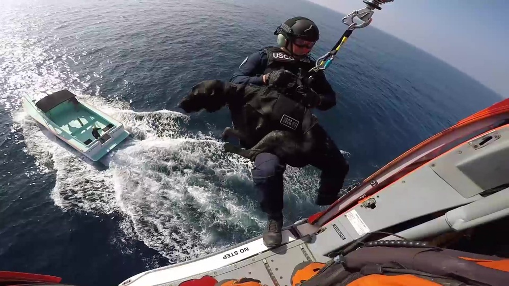 DVIDS - Video - Coast Guard conducts hoist training with K9 teams in ...