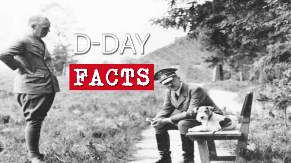 DVIDS - Video - D-Day Facts for D-Day 75