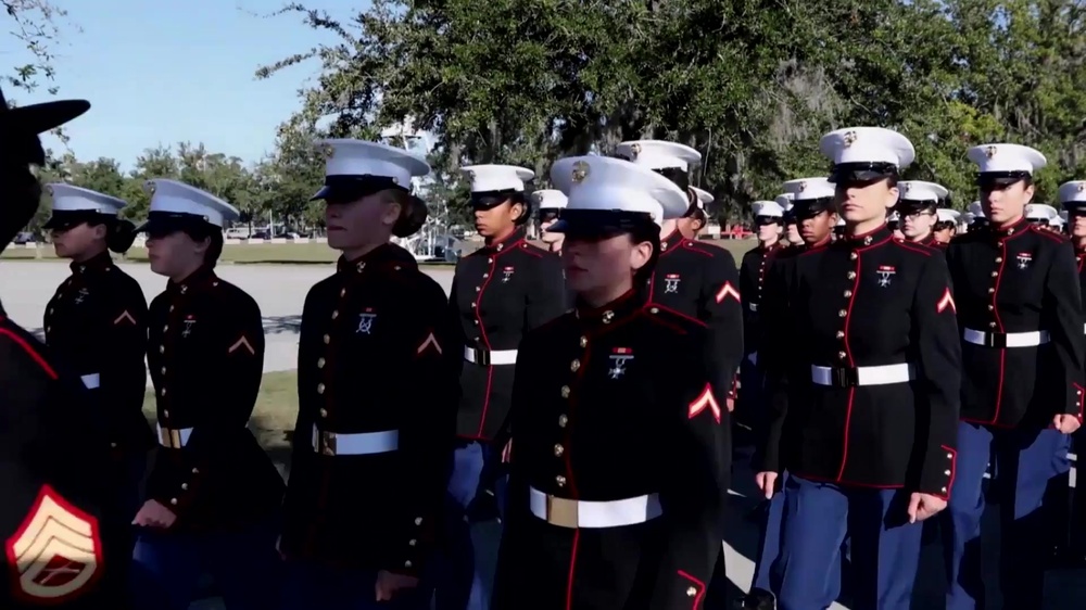 DVIDS - Video - Commanding Officer of CLR 27 gives his Command Philosophy