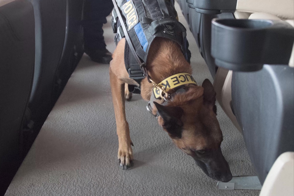 DVIDS - Video - San Francisco K-9ers