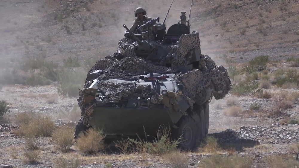 DVIDS - Video - 2d LAR conducts RAC during ITX 1-20