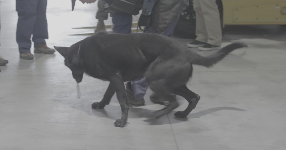 DVIDS - Video - U.S. Marines and JMSDF Soldiers conduct MWD detection ...