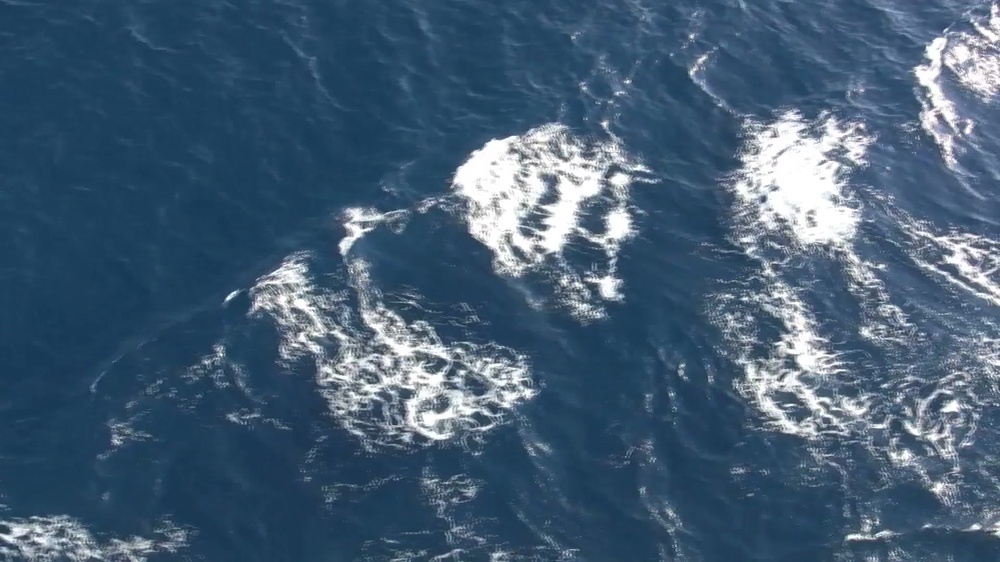 DVIDS - Video - At the Helm - Animation