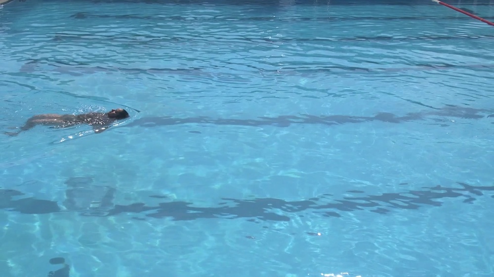 DVIDS - Video - Aquatic Swimming Strokes (WSB, WSI, WSA): Elementary ...