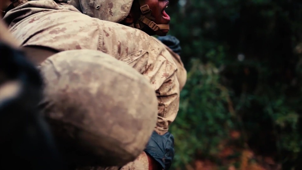 DVIDS - Video - Musician Enlistment Option Program