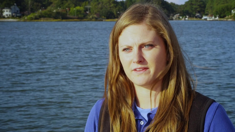 DVIDS - Video - U.S. Navy Marine Mammal Observers