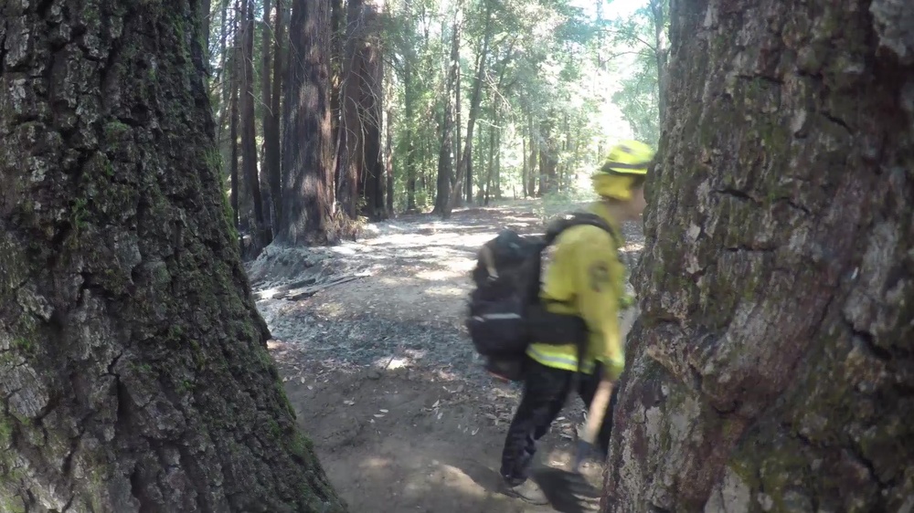 DVIDS - Video - Cal Guard's Joint Task Force Rattlesnake works CZU ...