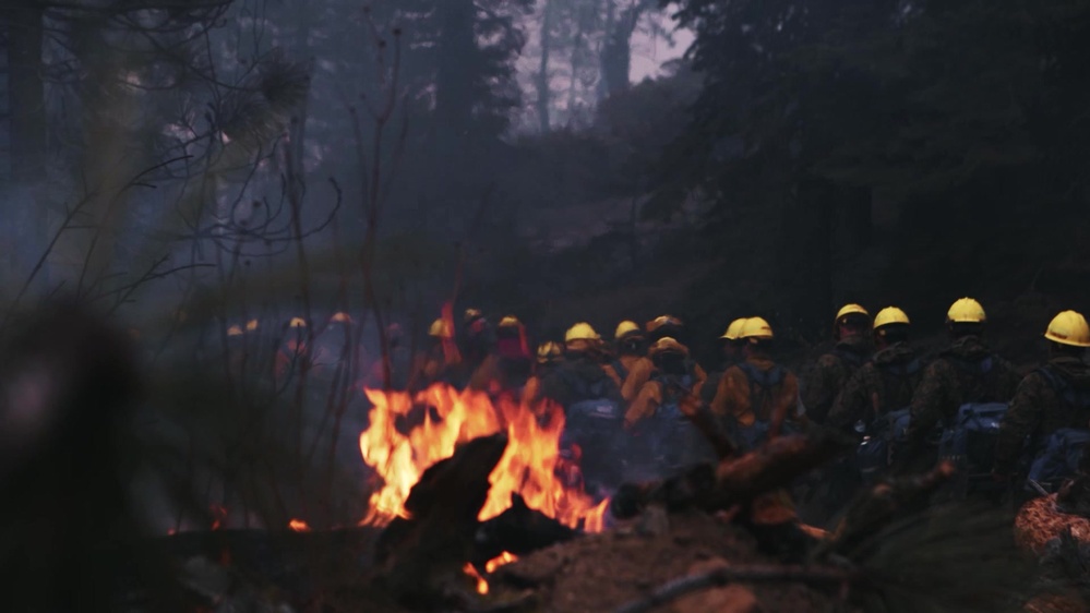 DVIDS - Video - In the Line of Fire