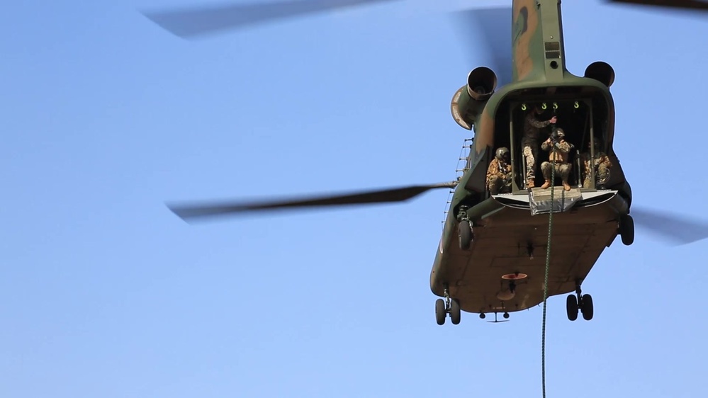 DVIDS - Video - Forest Light: JGSDF’s 30th Infantry Regiment, 3/8 ...