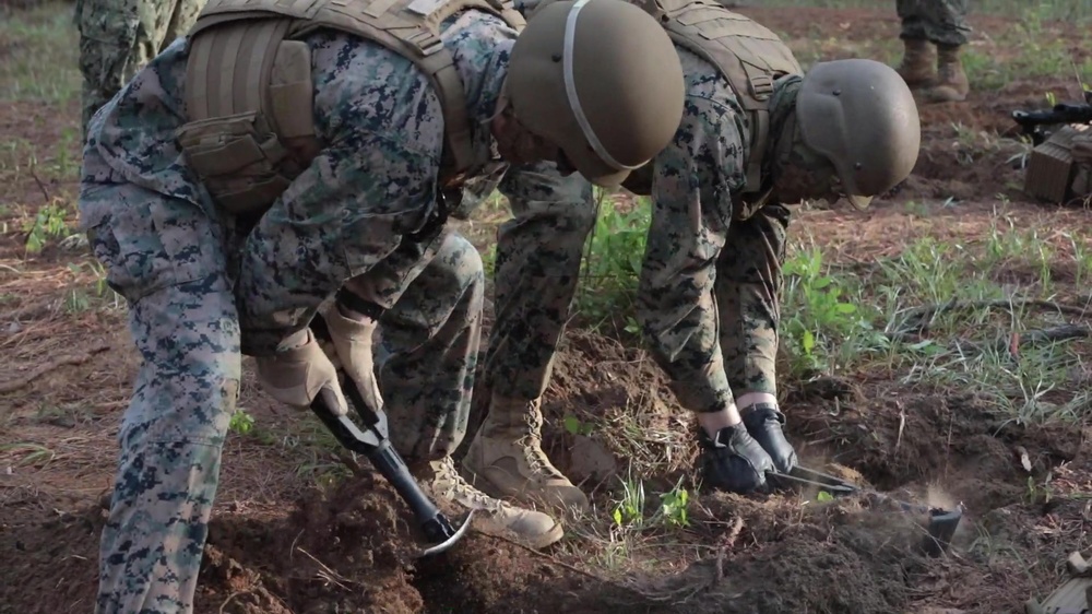 DVIDS - Video - Basic Skills Training (BST)