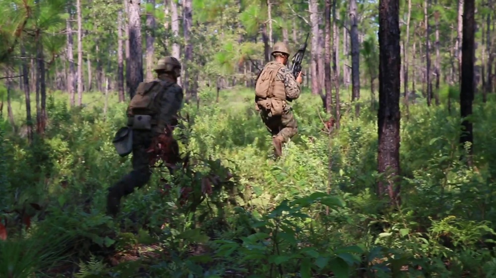 DVIDS - Video - Squad Fire and Movement Range During Infantry Marine Course